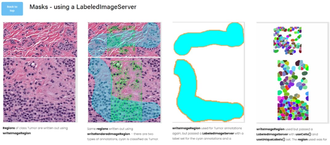 Website An Introduction To Qupath Scripting Other Qupath Scripting Guides Announcements