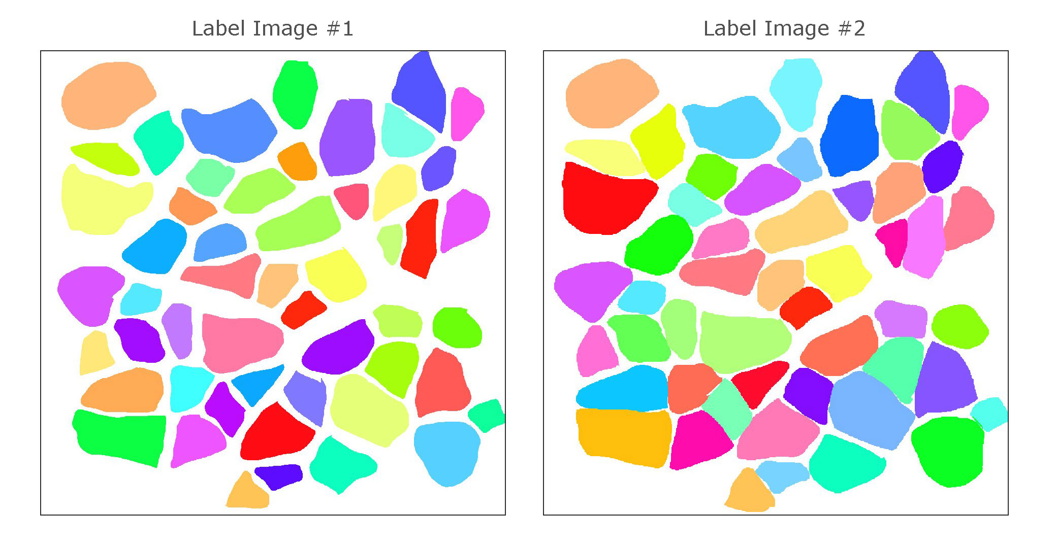 How to match labels between two label images in FIJI - Image Analysis ...