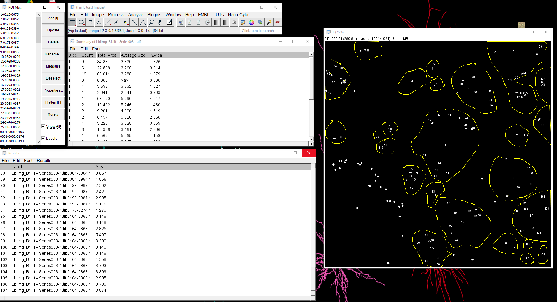 Merging TrackMate path names as particle names in ROI manager - Development - Image.sc Forum