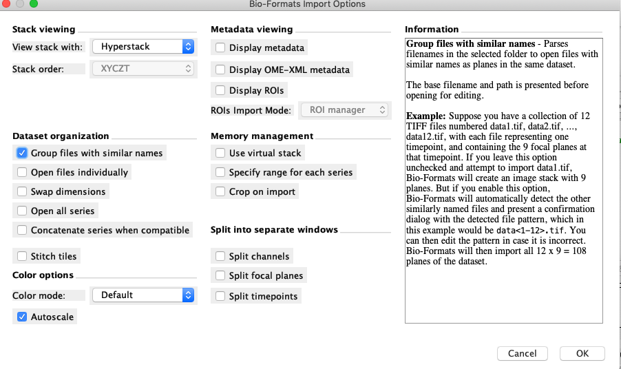 Fiji/imageJ for loop for z-stack in subfolders - Image Analysis - Image ...
