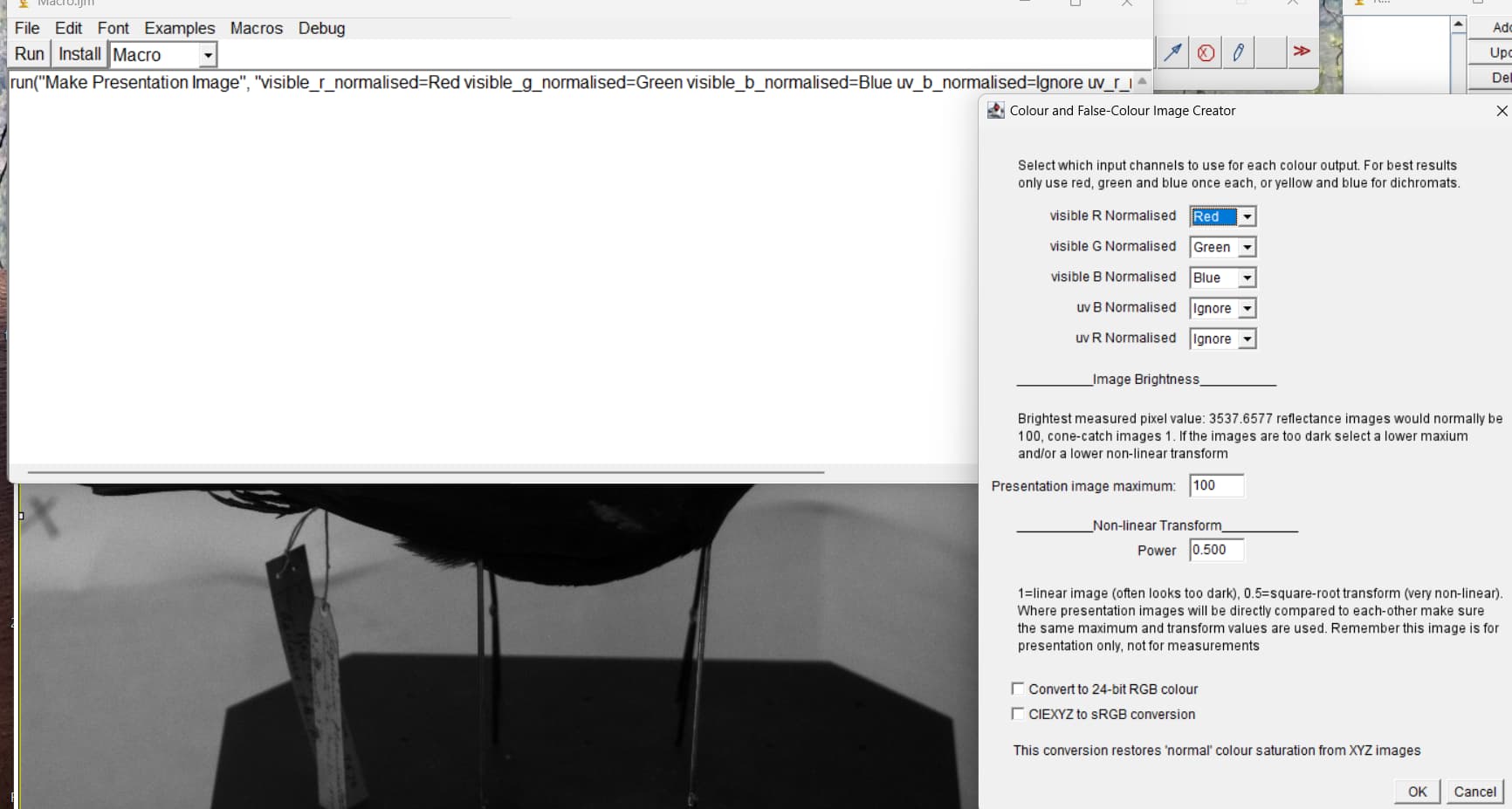 Can't close out of window when attempting to fully automate process - Usage & Issues - Image.sc ...