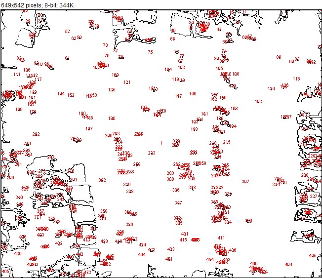 Analyze Particles Issue - Image Analysis - Image.sc Forum