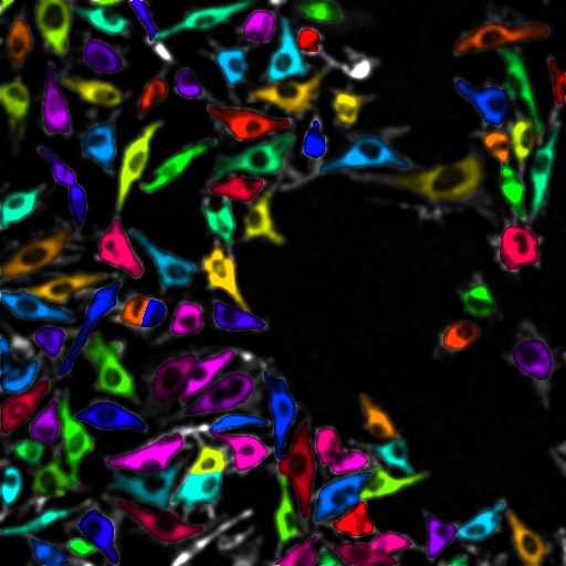 Cellpose-skimage regionprop measure Nan - Image Analysis - Image.sc Forum