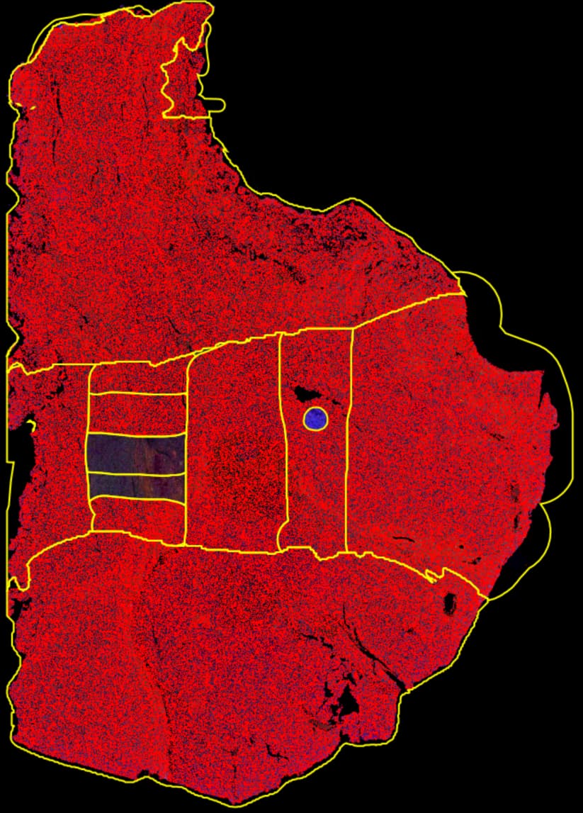StarDist error message - TopologyException - Image Analysis - Image.sc Forum