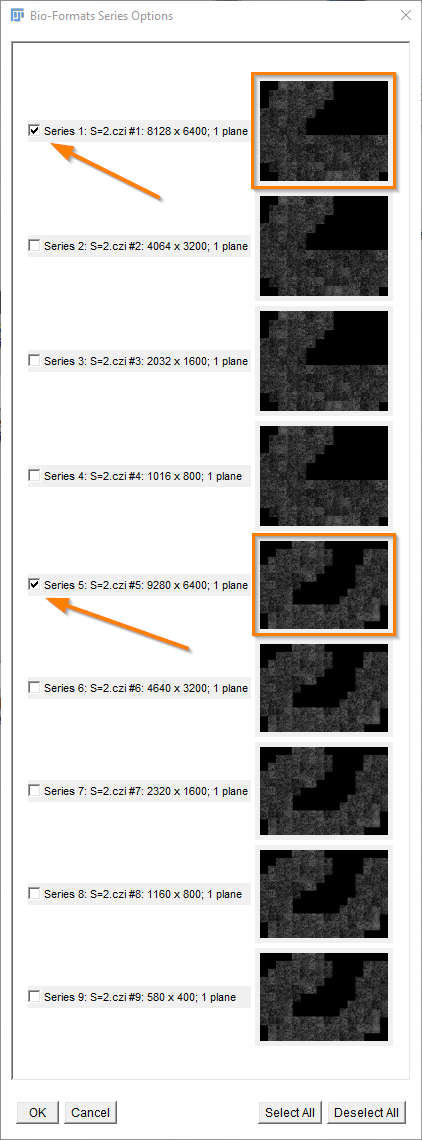 Opening multiscene CZI files with FIJI - Image Analysis - Image.sc Forum