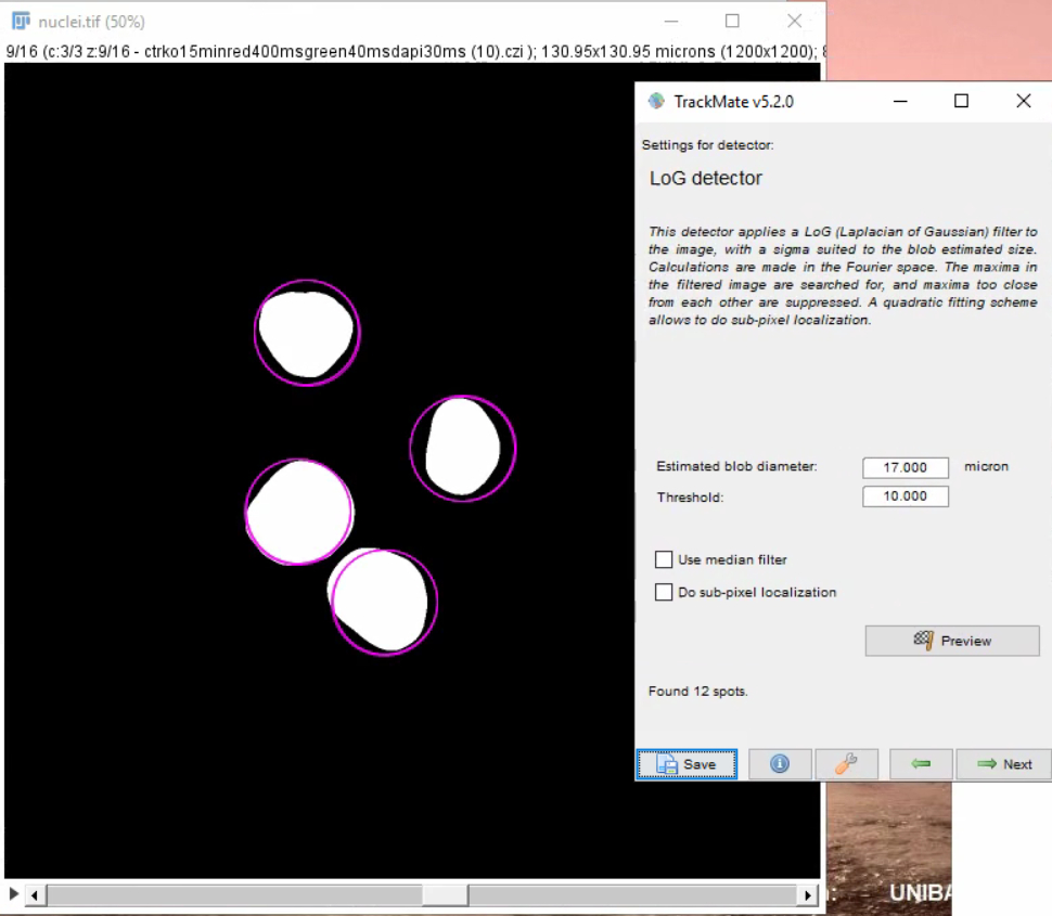 TrackMate finding multiple objects per nuclei - Usage & Issues - Image.sc Forum