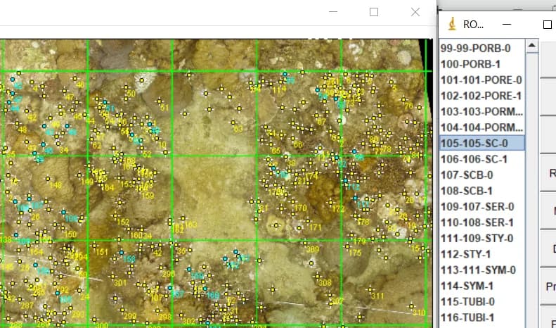 Counting points of different ROIs in a specific area - Usage & Issues - Image.sc Forum