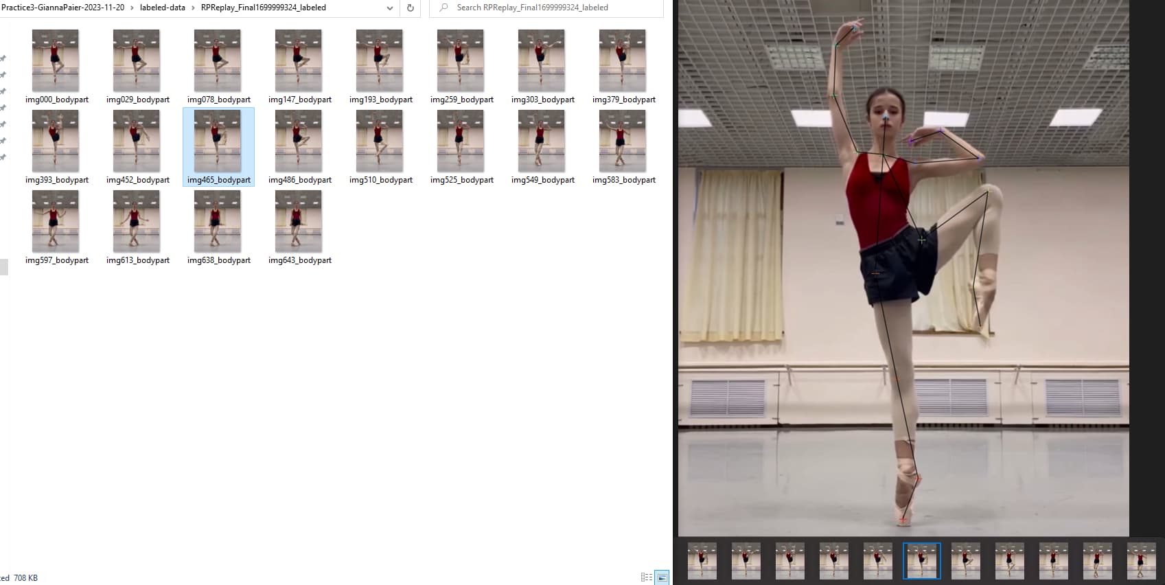 Labeled video and .csv file is not created - Usage & Issues - Image.sc Forum