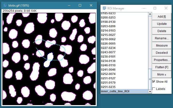 Selecting multiple ROI and rename/attribute group for further measures - Image Analysis - Image ...