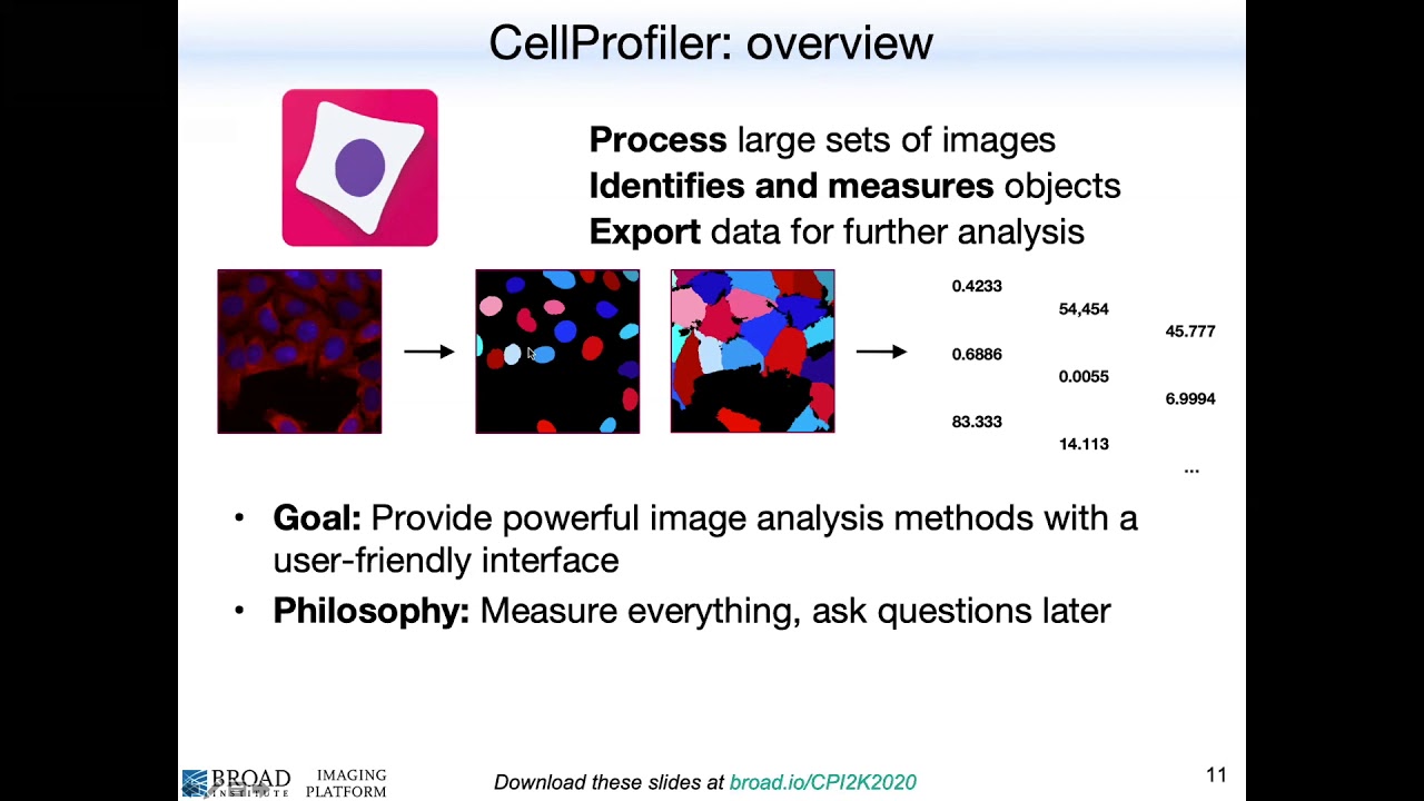 Cell profiler cytoplasm–nucleus translocation image analysis - Image Analysis - Image.sc Forum