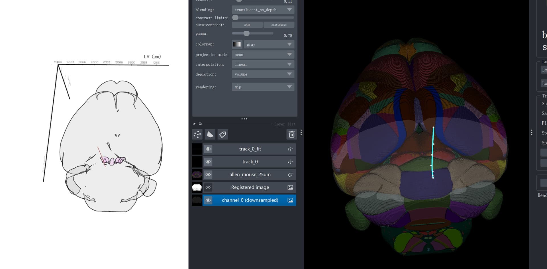 Probe Tracking Results Reversed in Brainrender After Exporting from Napari - Usage & Issues ...