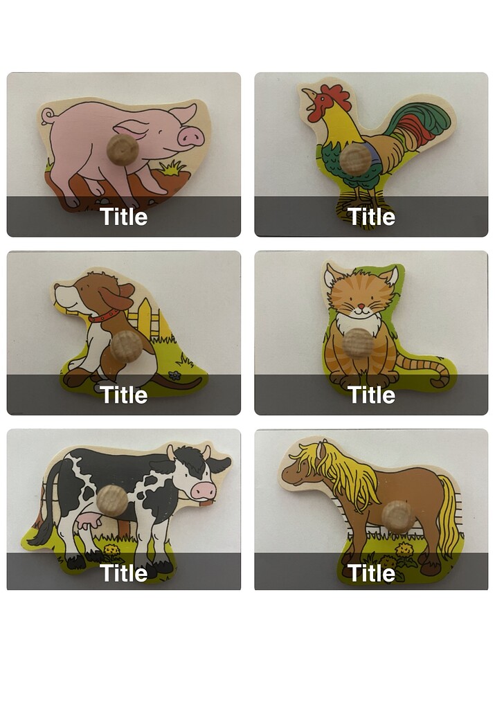 How To Achieve Dataviewergrid Displaying Only 1 Image In Width Of Screen Questions About