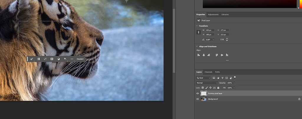 Doubt regarding the image data required by putPixels - UXP Plugin API - Adobe Creative Cloud ...