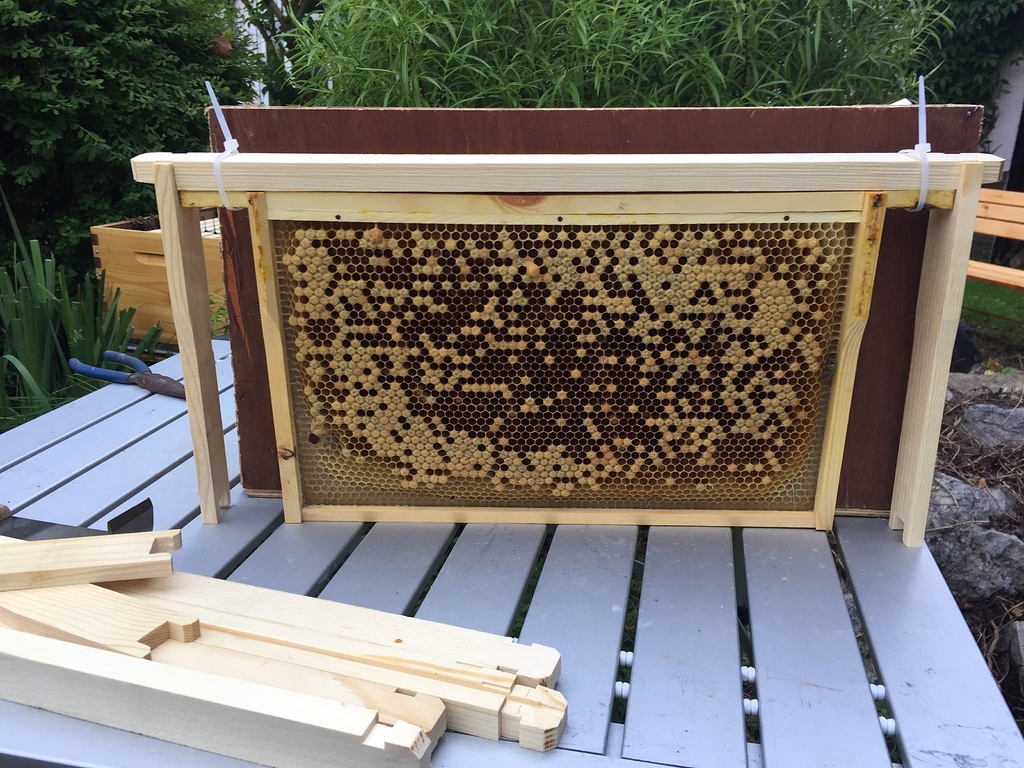 Convert UK national brood frame to langstroth in 1 minute ...