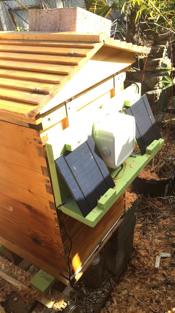 When to reuse drawn comb frames and frames with honey - Beekeeping ...