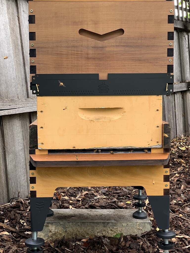 Mismatch between wooden nuc box with 8 Manley frames for a 10 frame ...