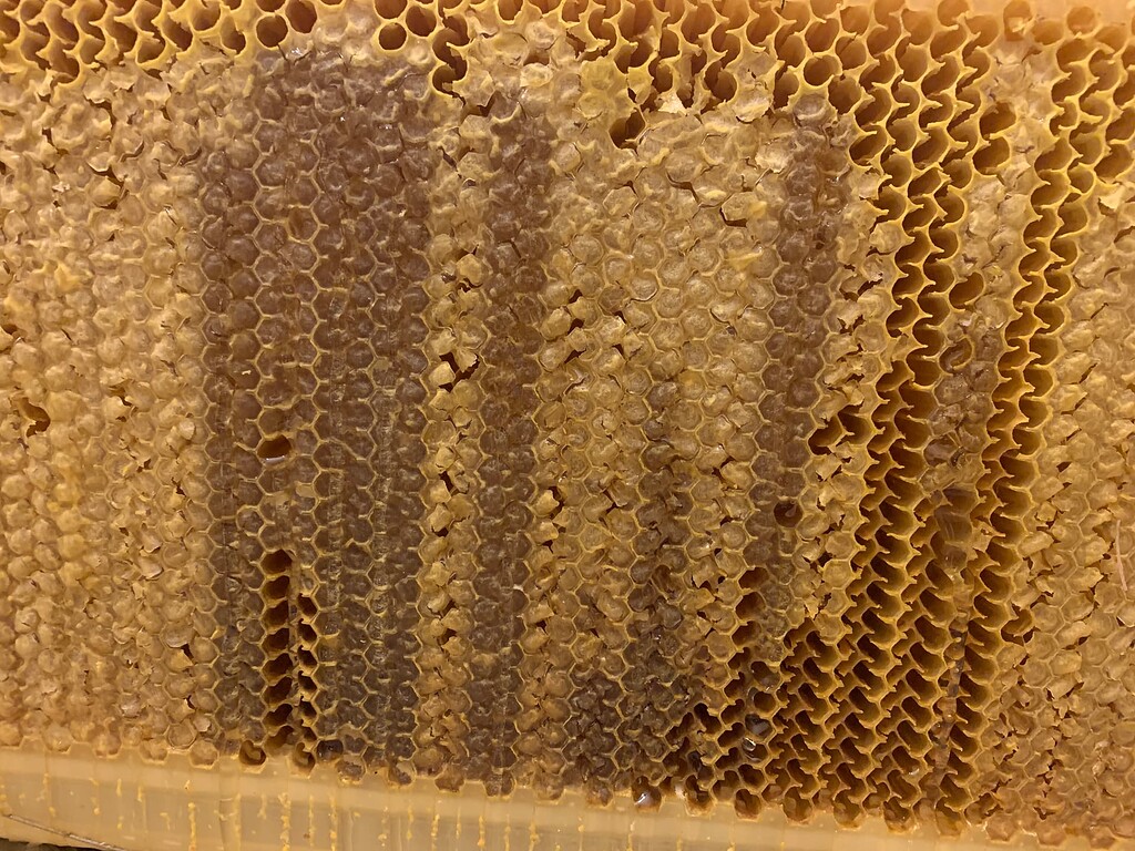 Flow frame cells not splitting open - Flow Forum