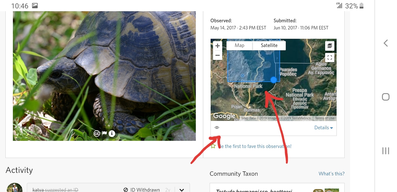 Is it bug or not? Place Greece instead of Macedonia - #6 by Star3 - Bug Reports - iNaturalist ...