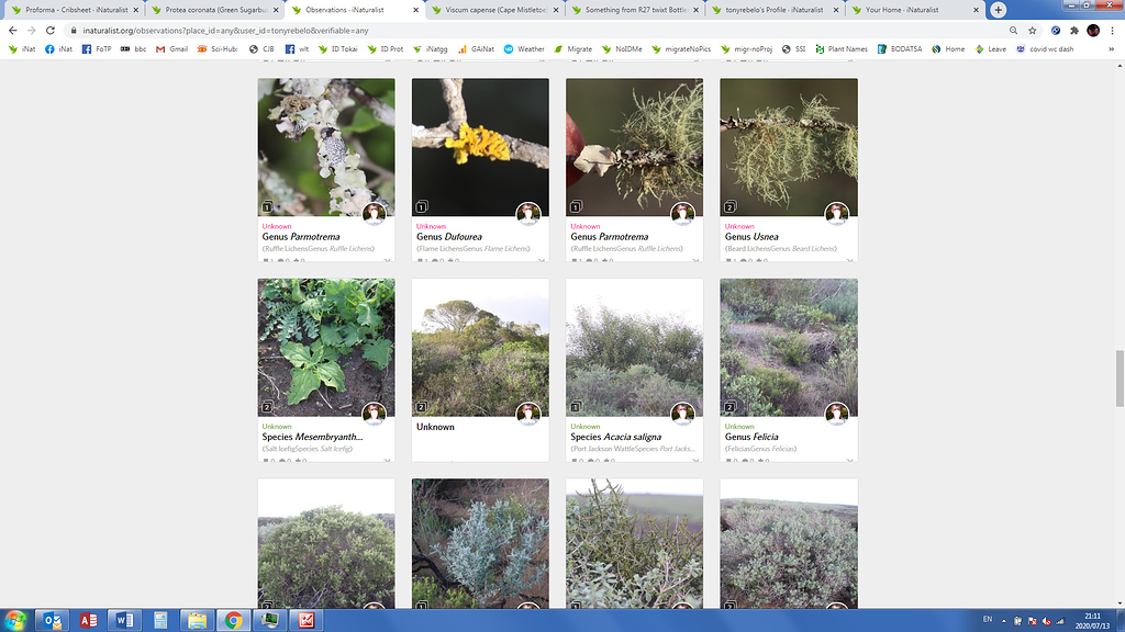 Seeing "Unknown" appear under photos in Explore Grid View when scrolling - Page 2 - Bug Reports ...