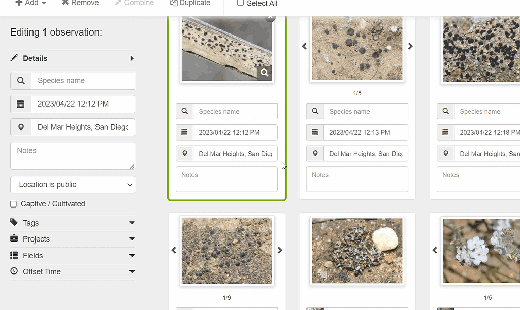Shift-click selection on upload page does not function correctly - Bug Reports - iNaturalist ...