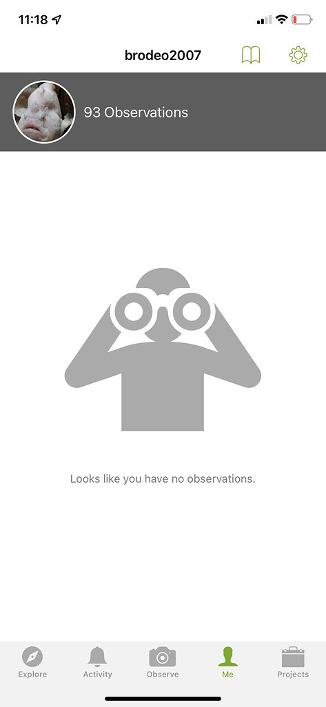Ios App Says I Have No Observations Bug Reports Inaturalist Community Forum
