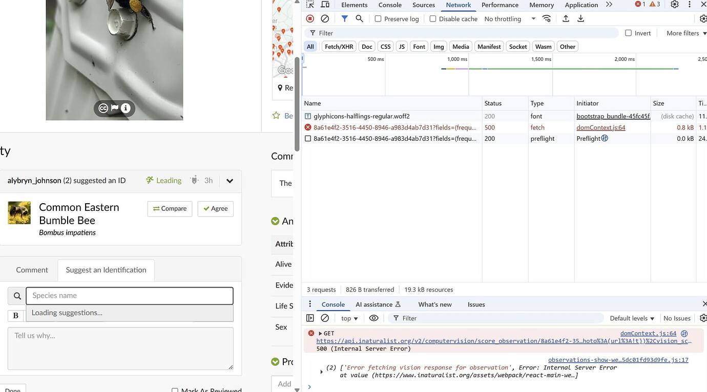 Loading Suggestions hangs when clicking on Suggest an Identification - Bug Reports - iNaturalist ...