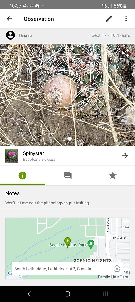 Cannot Fix Phenology Error on my own observation - Bug Reports - iNaturalist Community Forum