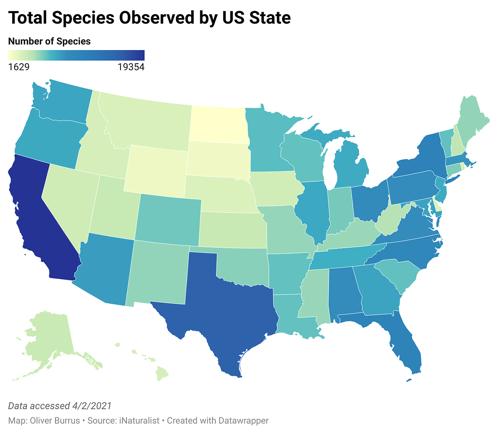 Some choropleth maps using iNat data - General - iNaturalist Community ...
