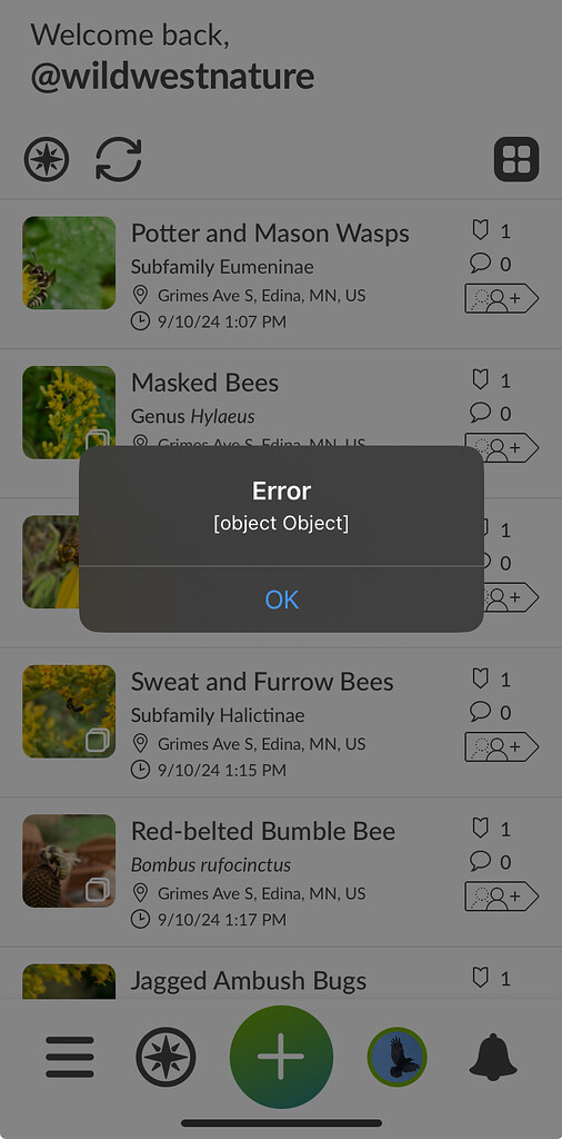 Error message occurs when favoriting and unfavoriting our observation - iNaturalist Next Bug ...