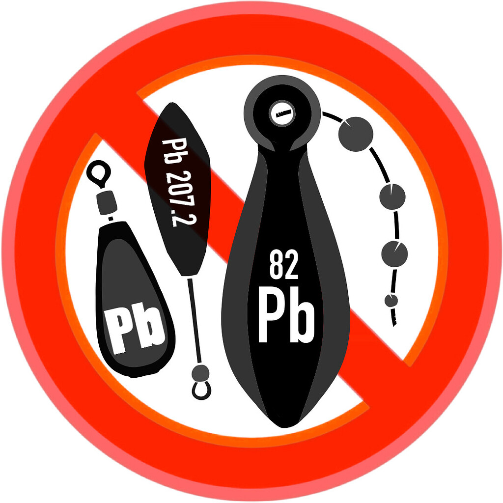 Pb 82 - Fishing Sinkers Ecosystem - Nature Talk - iNaturalist Community Forum