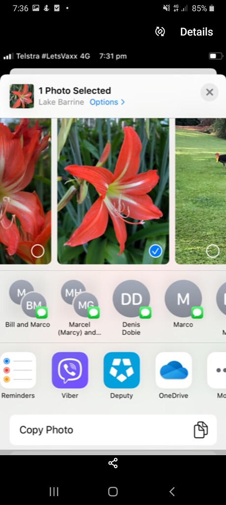 Couldn't find iNat icon in photo gallery - General - iNaturalist ...