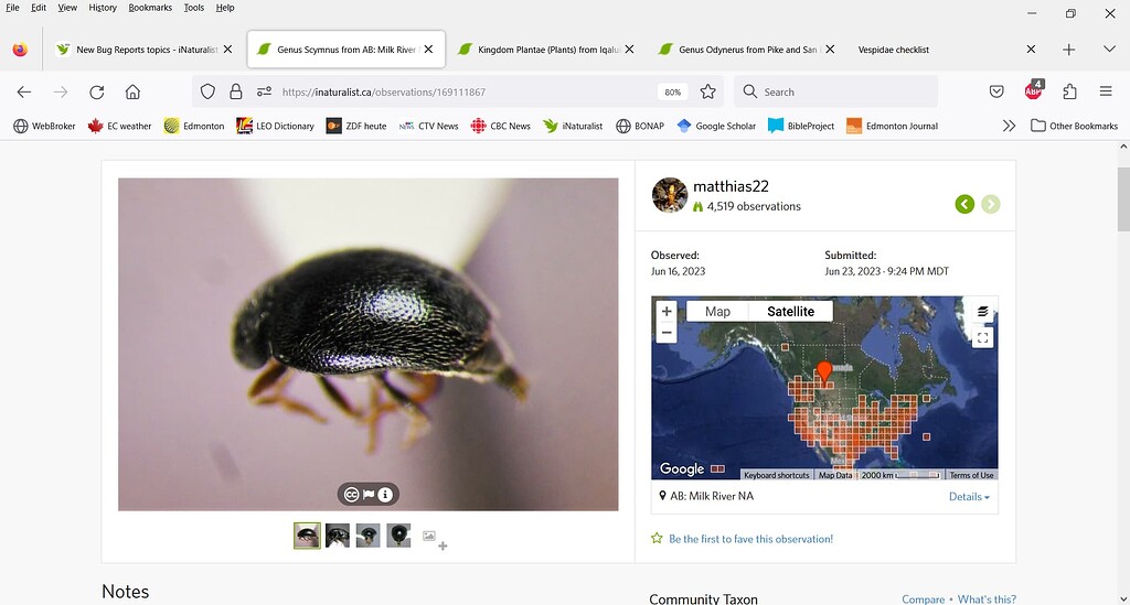 Unwanted map zoom-out when editing observations - Bug Reports - iNaturalist Community Forum