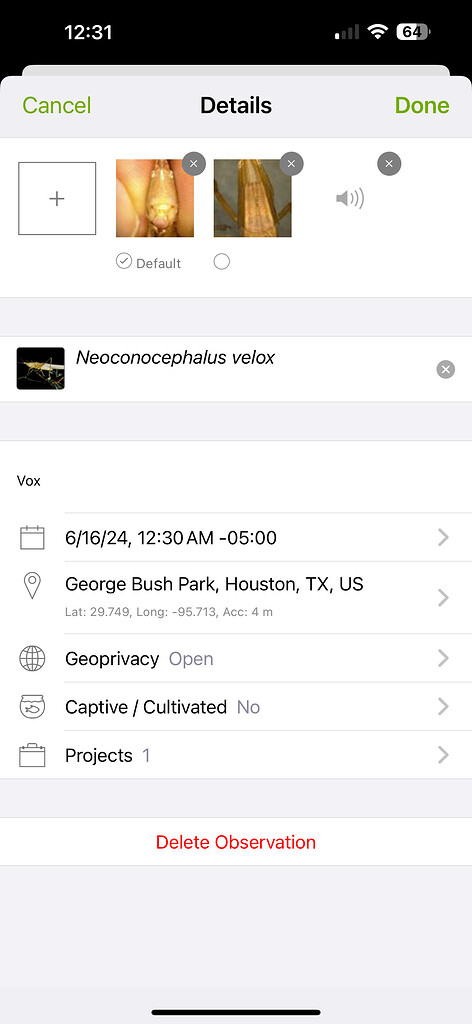 Photo list erroneous when adding additional photos - Bug Reports - iNaturalist Community Forum