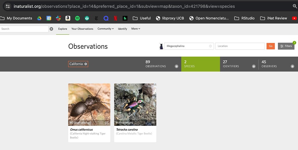 Observations of Omus californicus split between two subfamilies - Bug Reports - iNaturalist ...