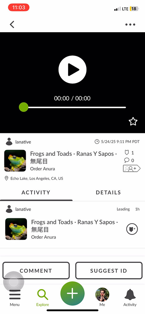 iPhone app crashes when adding ID to audio observation - Bug Reports - iNaturalist Community Forum
