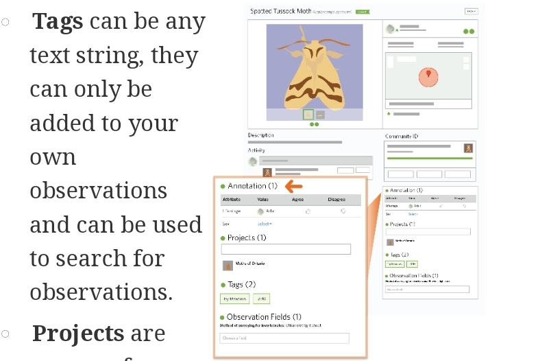 How to tag an observation of a diseased bird? - General - iNaturalist ...
