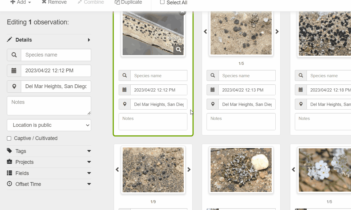 Shift Click Selection On Upload Page Does Not Function Correctly Bug Reports Inaturalist