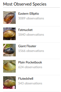 Funny, long, or just plain weird animal names - Page 38 - Nature Talk ...