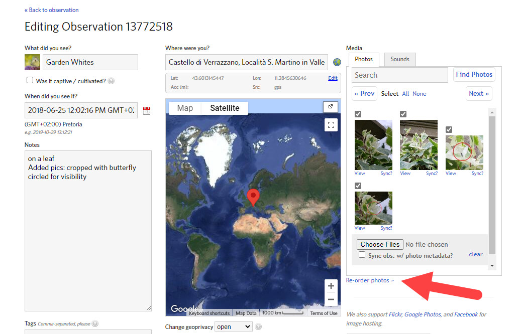 How to tag an observation of a diseased bird? - General - iNaturalist ...