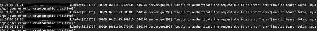 [kubelet] Error log invalid bearer token, square/go-jose: error in cryptographic primitive ...