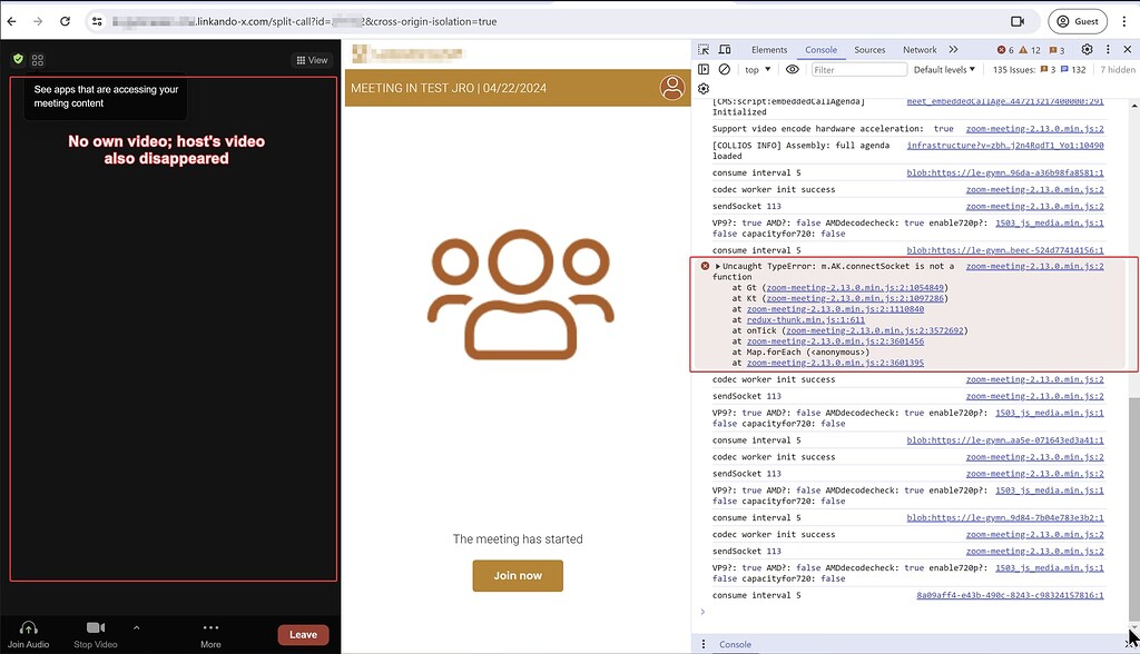 No video after promoting Webinar attendee to a panelist in Web Meeting SDK - Meeting SDK - Zoom ...