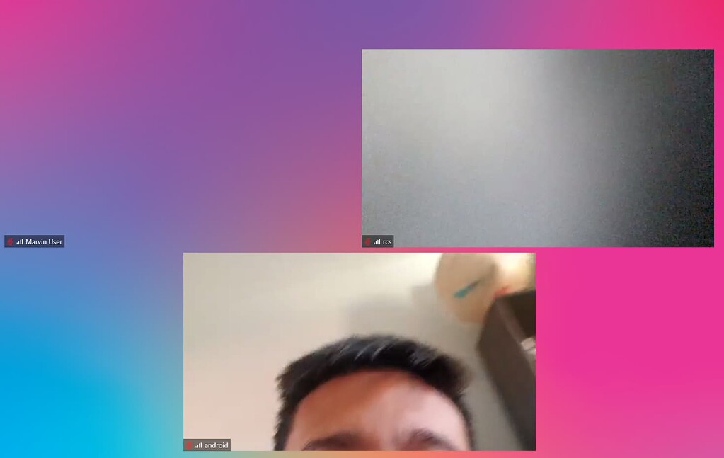 User videos not rendering sometimes in Gallery mode (video component) - Video SDK - Zoom ...