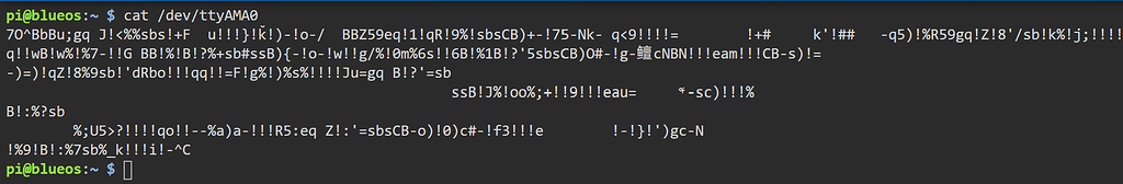 BlueOS (Raspberry Pi 4B/5) and Cubepilot Orange Setup - Blue Robotics Software - Blue Robotics ...