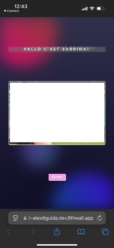 CSS stylesheets are not loading in the development environment ...