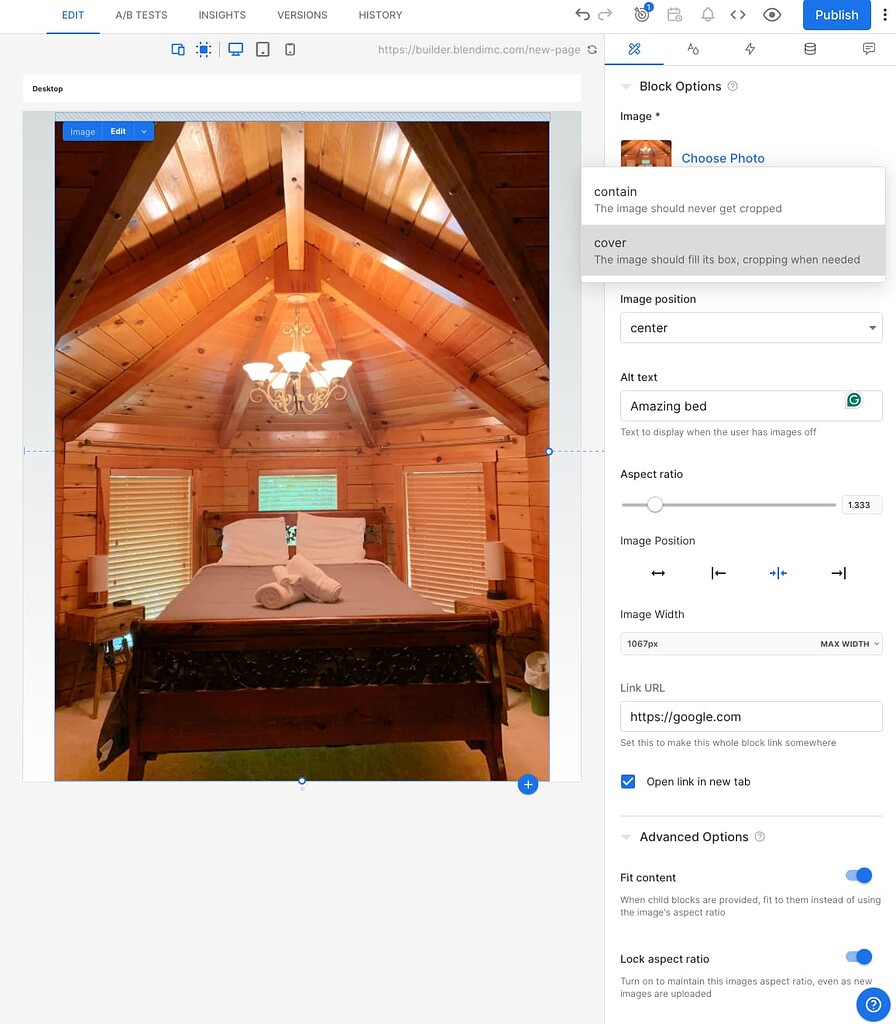 How can I use Next Image without losing editing capabilities in Builder.io? - Technical ...