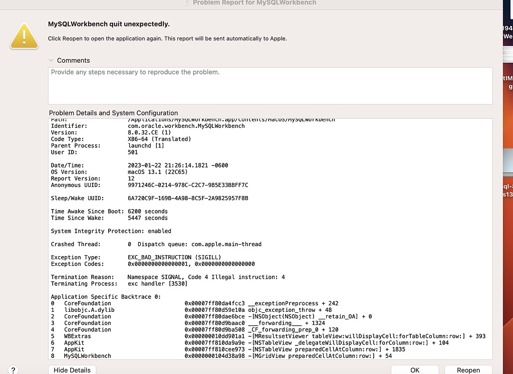 Cannot review the table in Sql - SQL - Code with Mosh Forum