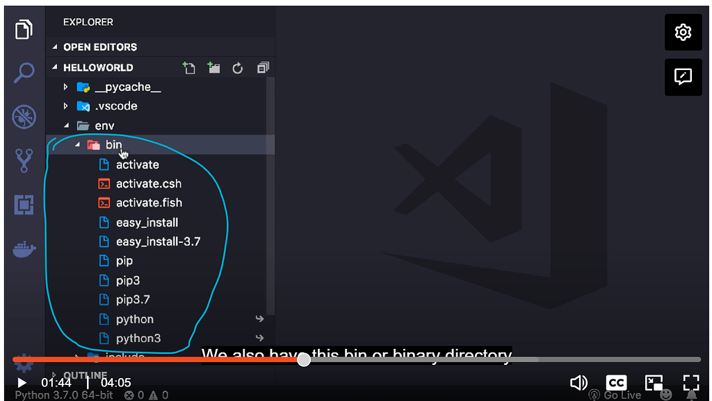 Cannot find 'bin' directory when Creating Virtual Environments in Vs Code - Python - Code with ...