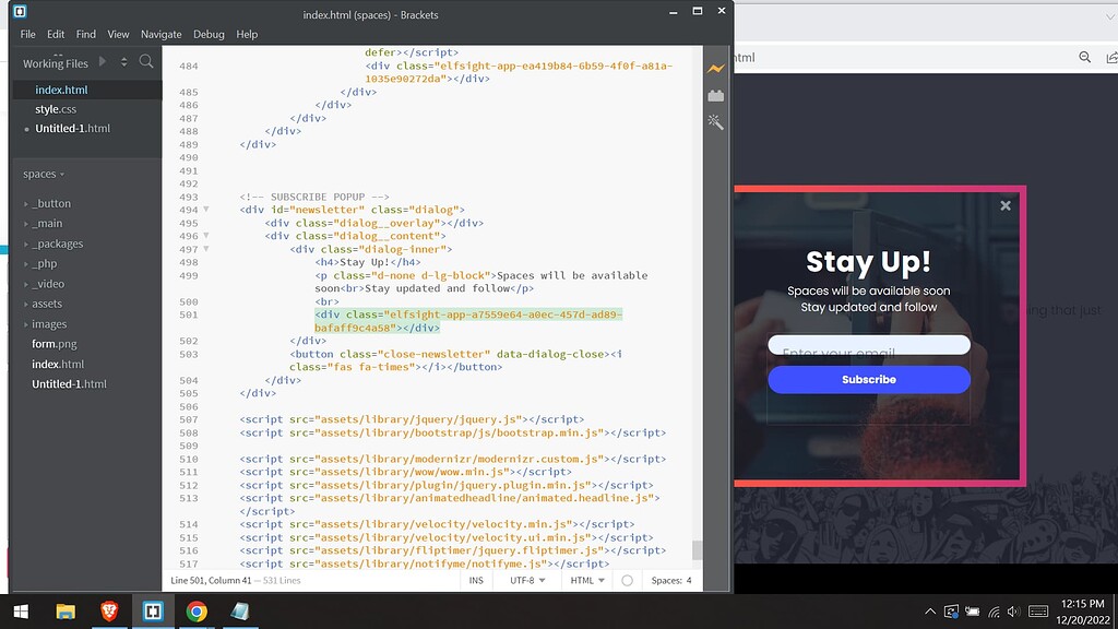 Form field CSS position broken on Input - General Questions - Elfsight Community