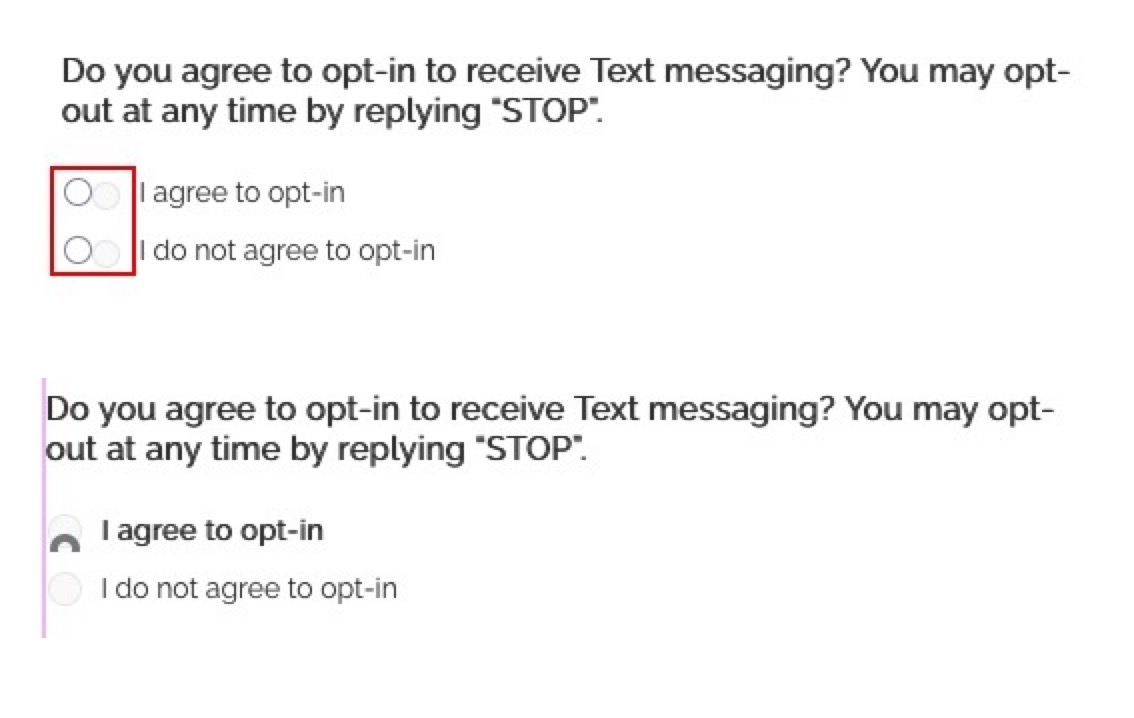 Seeing Two Input Buttons For A Single Radio Button Option Get Help Gravity Forms