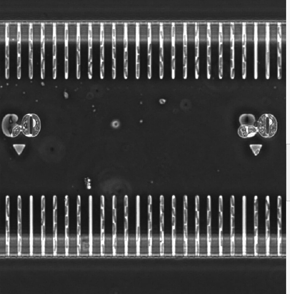 How perfect is Nikon's Perfect Focus System (PFS)? - Hardware - Microforum